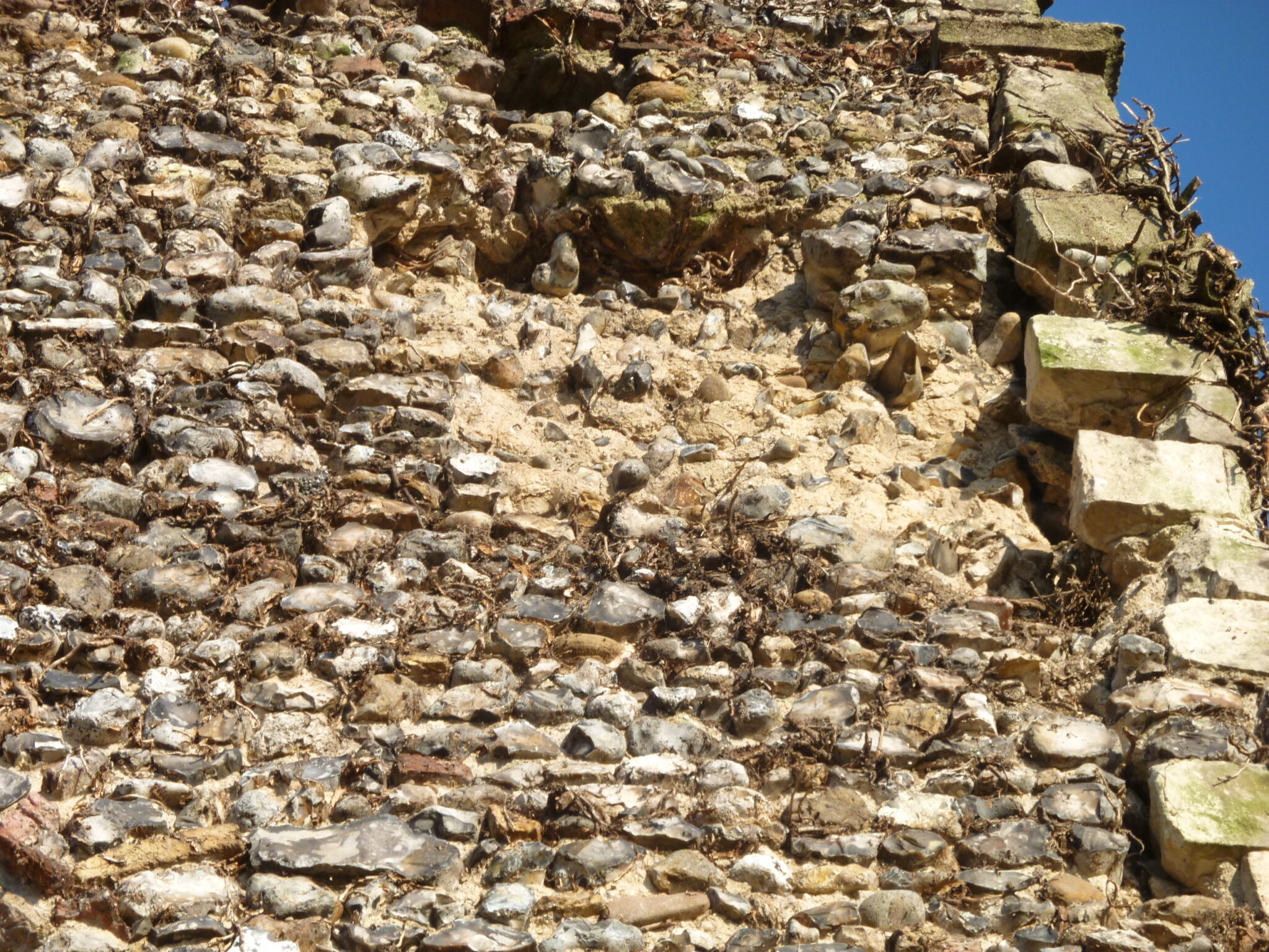 History and Interpretation | Welcome to the Shotesham website